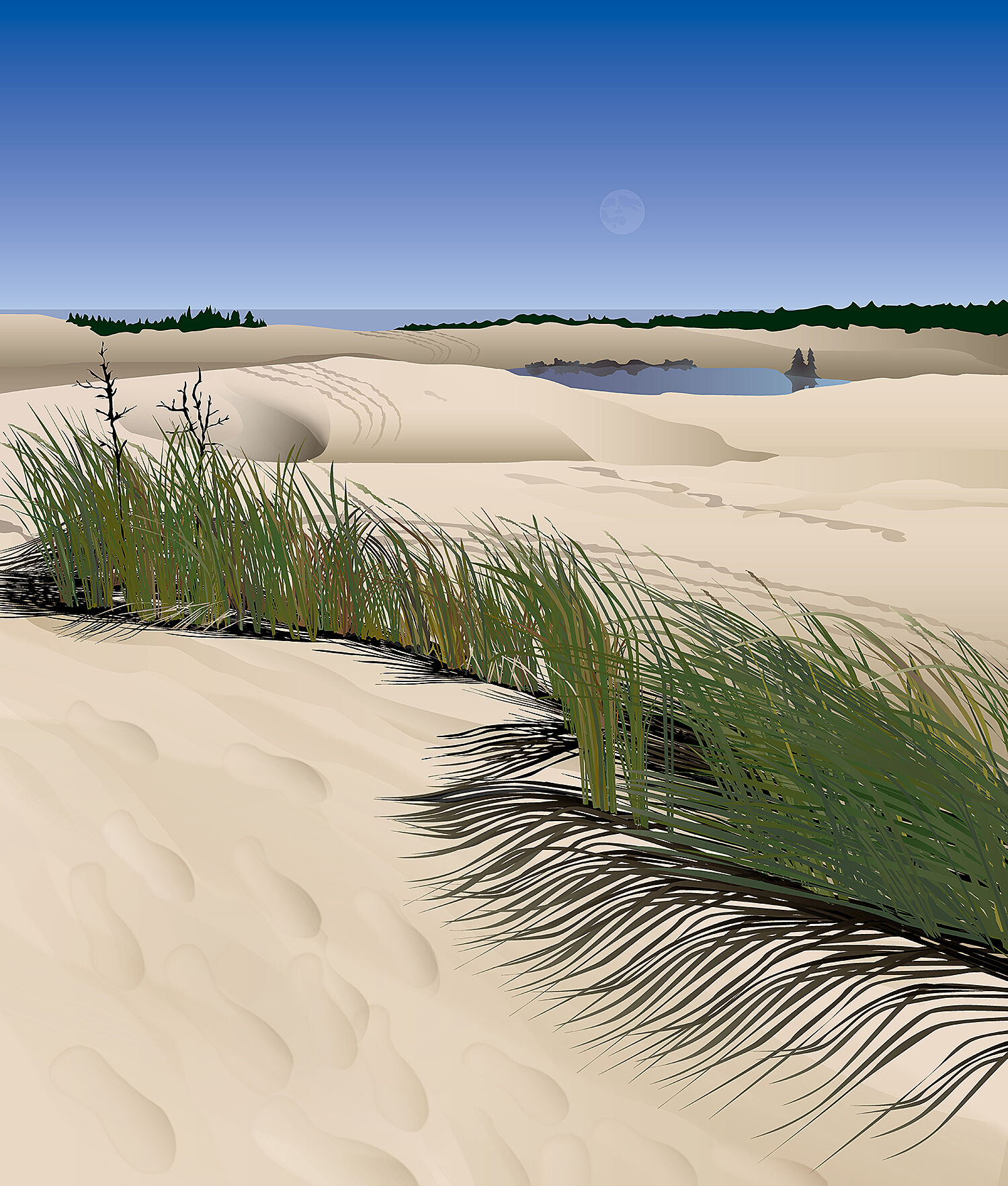 The Oregon Dunes Indigo Award winner 2023